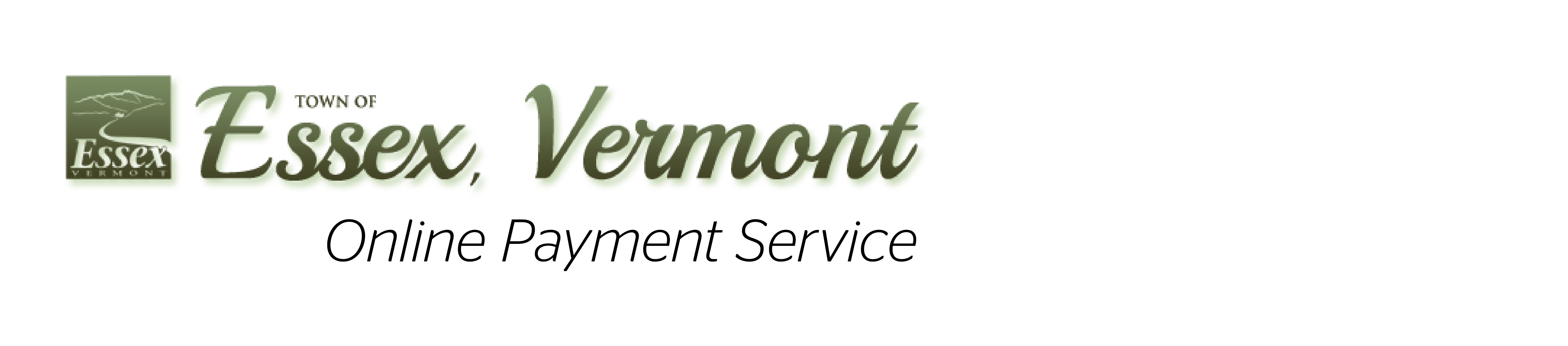Online Payment Service By VPS